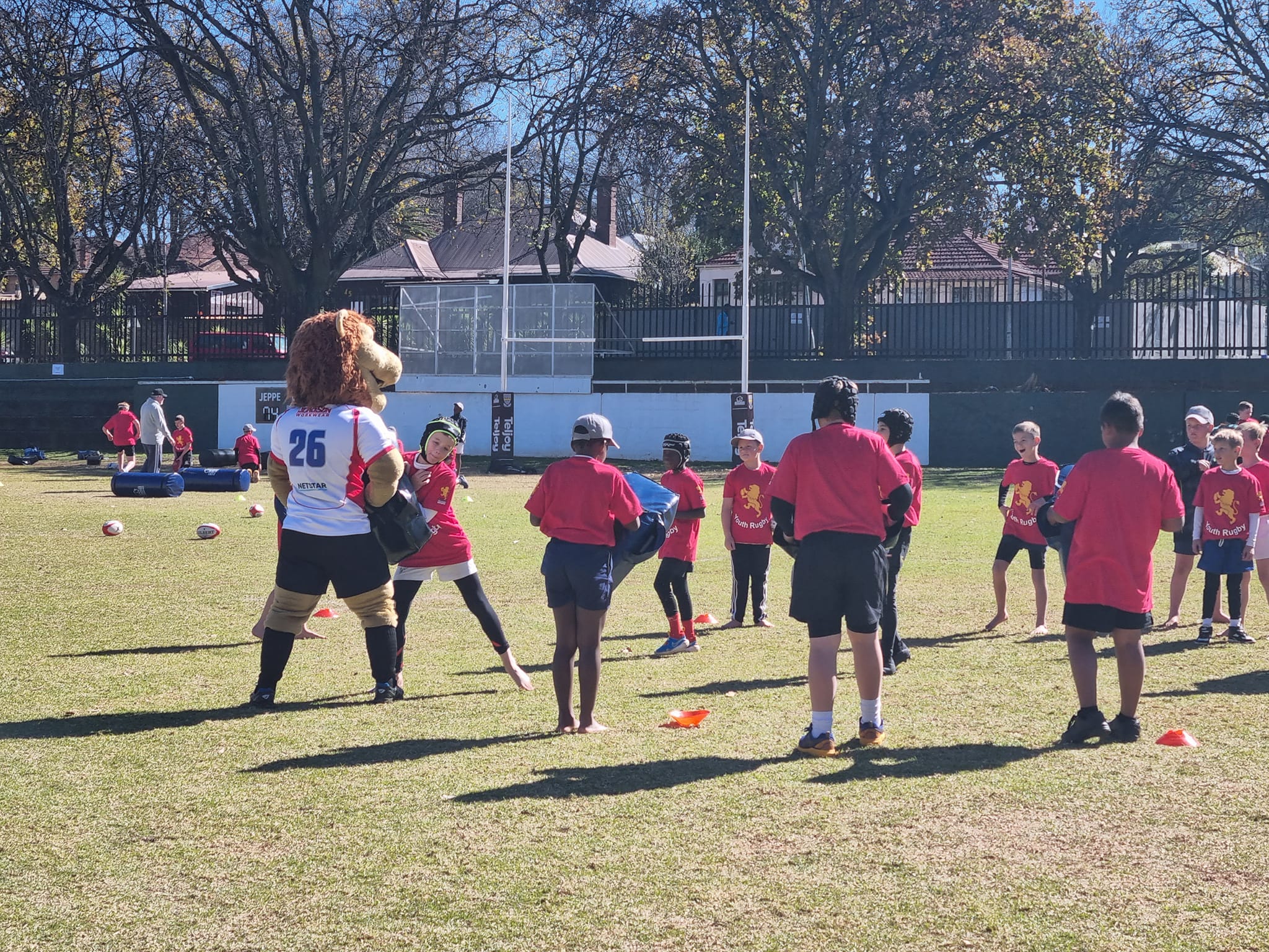Development – Golden Lions Rugby Union